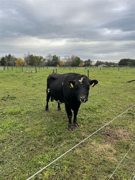 Alexia Wright On Linkedin What A Whirlwind This Year Has Been I Could Write A Short Novel On All