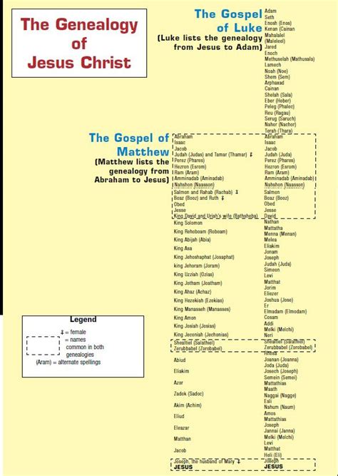 Chart Of Jesus Genealogy Minimalist Chart Design