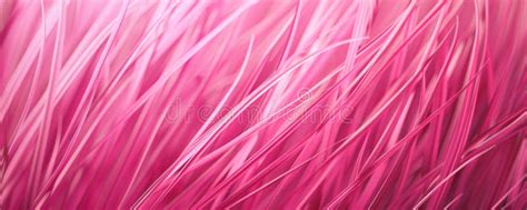 Abstract Pink Grass Blade Texture Close Up Of Vibrant Pink Grass