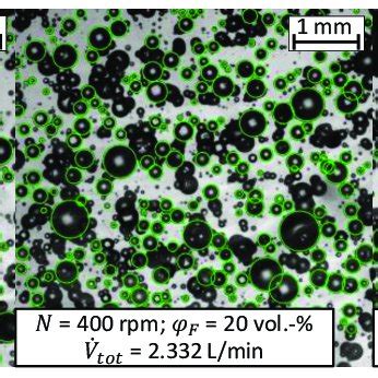 Examples Of The Image Analyses By The CNN Based Method The Images Were