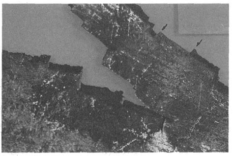 Fracture Surfaces On Fragment 2 10 Times Magnification A Reversal Of Download Scientific