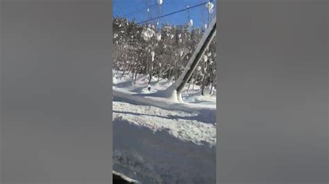 뽀로로 마을 Youtube