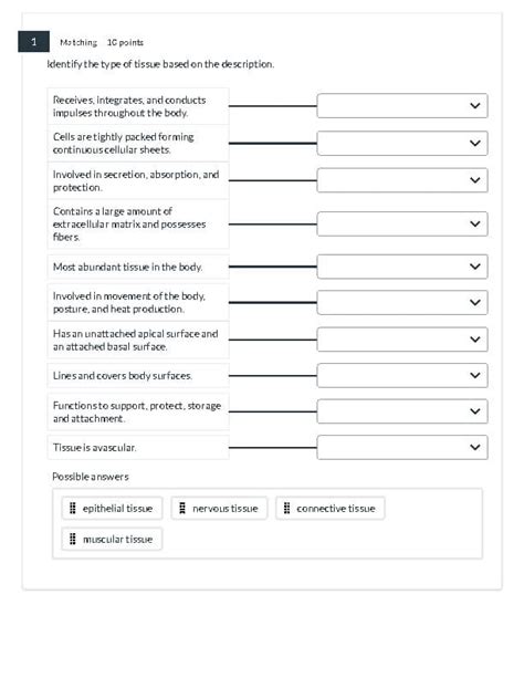 Histology Review Assignment By Gundybio Tpt