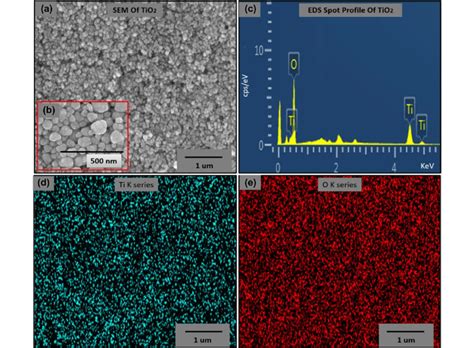 a FE SEM image of TiO 2 with magnification level of 1 μm and b zoom Download Scientific Diagram