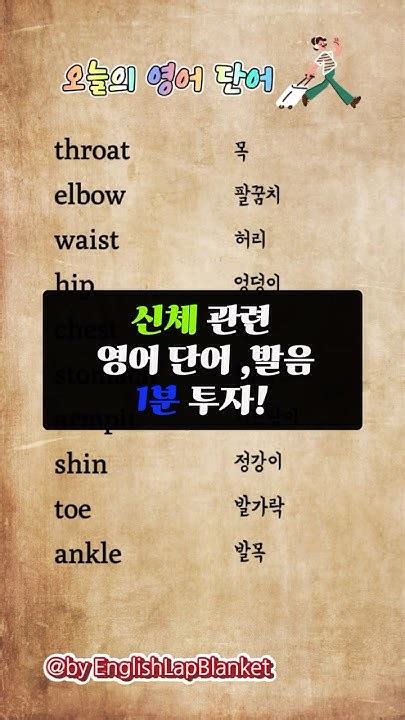 신체관련 영어 단어 Englishwords Vocabulary Body Shorts Youtube