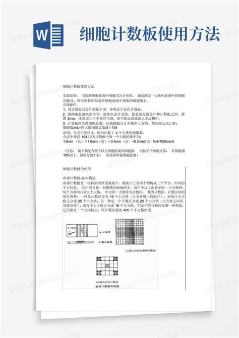 细胞计数板使用方法word模板下载 编号lnwdmrkk 熊猫办公