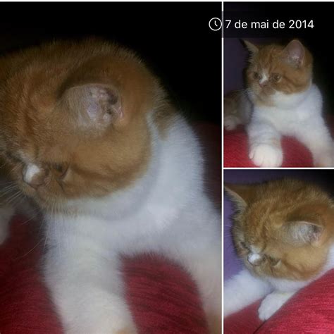 Katrinna Divina Youtube