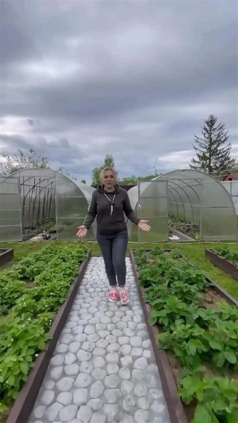 Эта дорожка на даче оказалось самой экономной Небольшие передние дворики Сад на террасе