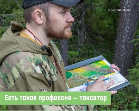 Есть такая профессия — таксатор. Чем он занимается? Таксатор — это ...