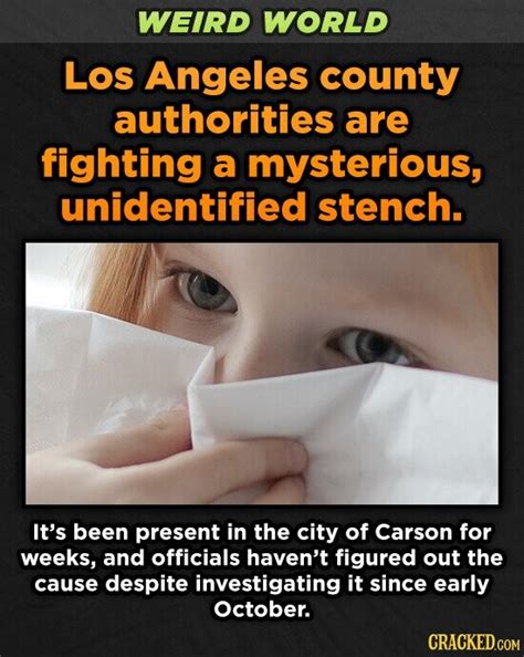 Weird World 12 Real Events Wed Never Expect To Happen