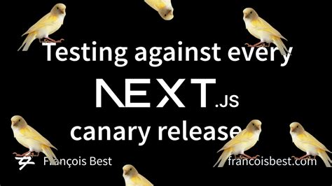 Testing Against Every Nextjs Canary Release François Best