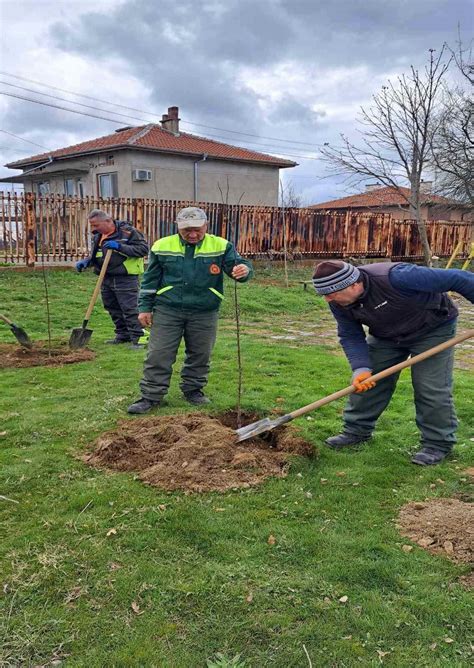 Засадиха 24 декоративни фиданки в двора на филиала на ДГ „Усмивка“ в село Церово Новини от