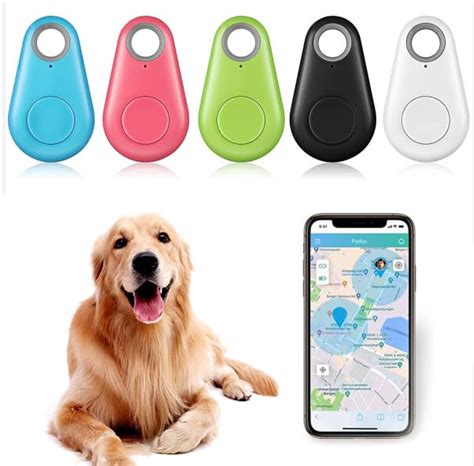 10 Best GPS Dog Trackers | 2024