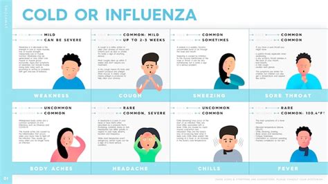 Premium Vector Vector Infographic Showing The Similarities And Differences Between The Common