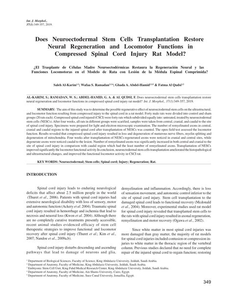 Pdf Does Neuroectodermal Stem Cells Transplantation Restore Neural