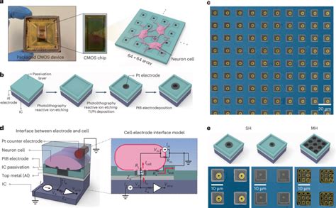 Microhole Electrode Array On A Semiconductor Cmos Integrated Circuit