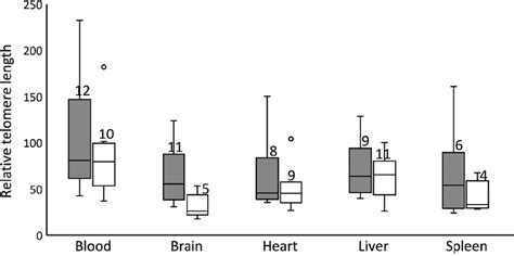 Comparison Of The Median And Interquartile Range Iqr Whiskers Are