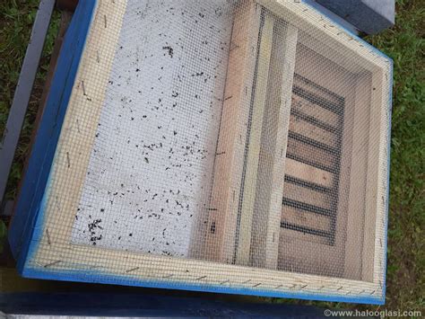 Db Košnice Za Pčele Halo Oglasi