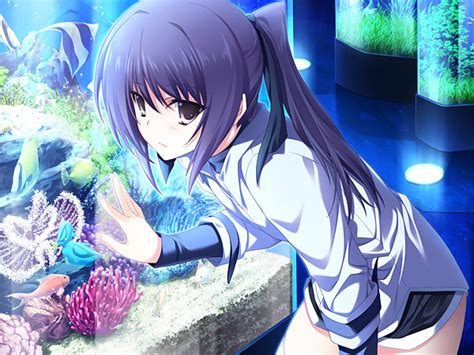 【dl版】lovely×cation アダルトpcゲーム Fanza Games