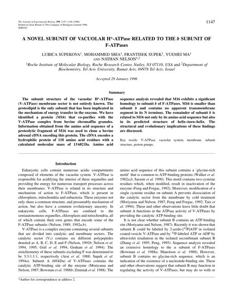 Pdf A Novel Subunit Of Vacuolar H Atpase Related To The B Subunit Of F Atpases