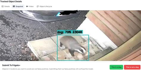 49 Best Rfrigatenvr Images On Pholder Face Detection