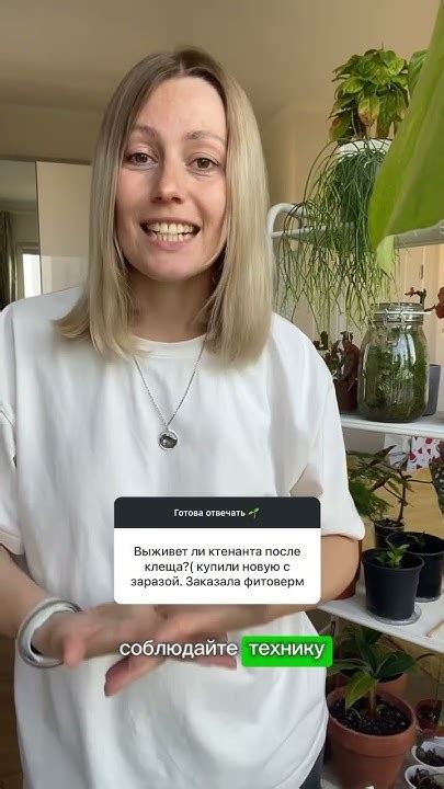 Поможет ли Фитоверм от паутинного клеща у ктенанты? 🌱🙌🏻 #паутинныйклещ ...
