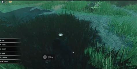 Sapien Complete Beginners Guide Roblox Item Level Gaming