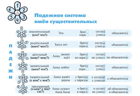 Диаграмма Падежи существительных Quizlet