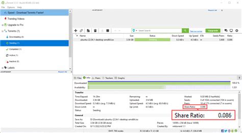 What Does Seeding Mean in uTorrent? — RapidSeedbox