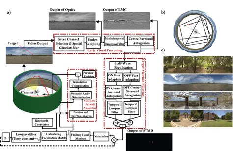 A Overview Of The Closed Loop Block Diagram Of The Computational Model Download Scientific