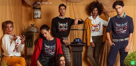 Dresarrollador Web Y Qa Funcional Automatizador By Qwertydev Fiverr