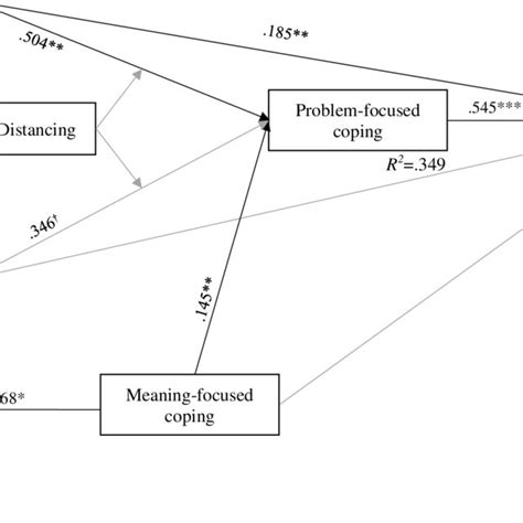 Significant Paths Are Displayed In Black Non Significant Paths Are