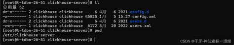 clickhouse 源码编译部署 csdn博客