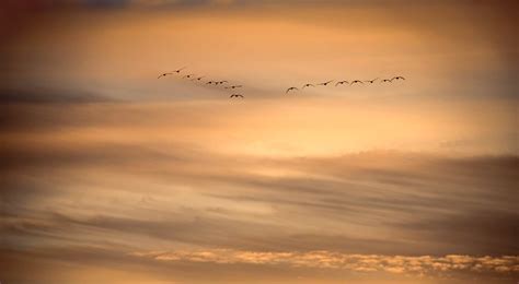 Hyper Web Design Linkedin