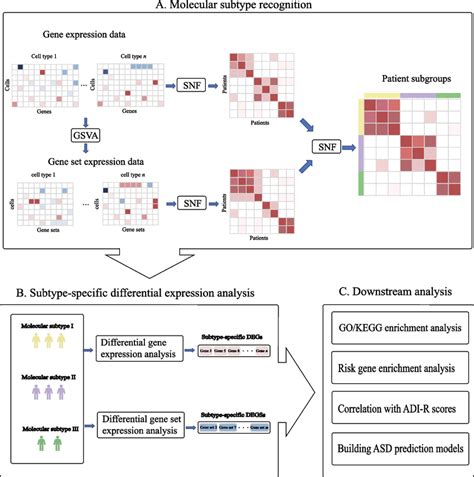 Analytical Workflow Including A Molecular Subtype Recognition B Download Scientific Diagram