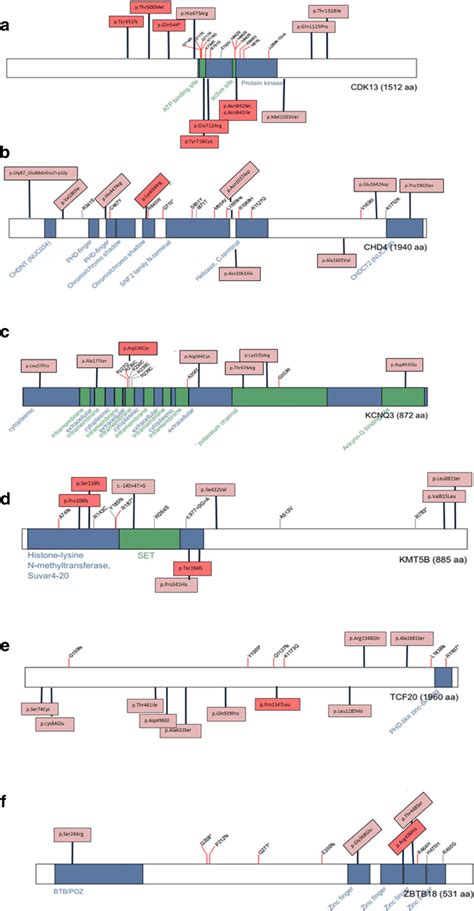 A F Composite Figures Of Genes With Pathogenic Or Likely Pathogenic A F Composite Figures Of Genes With Pathogenic Or Likely Pathogenic