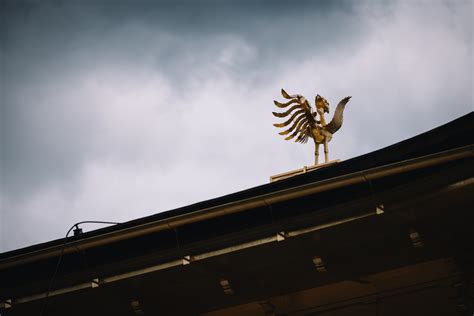 Issues With React 19 Tailwindcss V4 And Nextjs Rex Wang