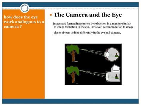 Ppt Human Eye Project Powerpoint Presentation Free Download Id 1761722