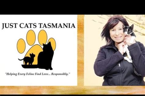 Fundraiser By Rachel Beech Just Cats Tasmania New Cattery