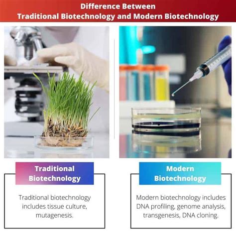 Bioteknologi Tradisional Vs Modern Perbedaan Dan Perbandingan