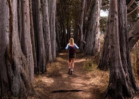 Exciting Things To Do In Cambria And The Central Coast • Visit Cambria Ca