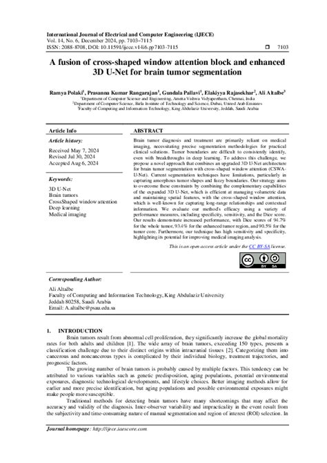 Pdf A Fusion Of Cross Shaped Window Attention Block And Enhanced 3d U Net For Brain Tumor