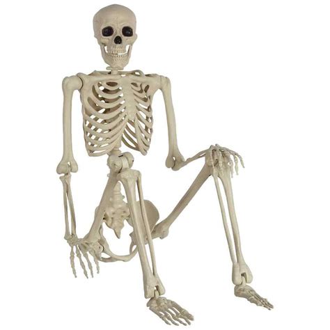5ft Life Size Poseable Skeleton Prop Halloween Décor 4595861997