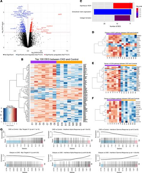 Transcriptomic Differences In Skeletal Muscle Of Patients With Ckd