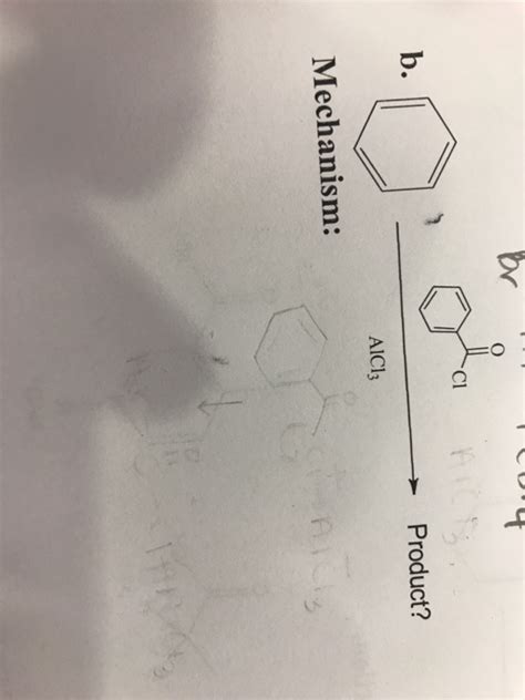Solved 1 Provide The Major Mono Substituted Product For