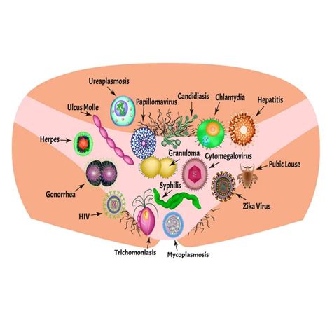 Diseases Free Stock Vectors