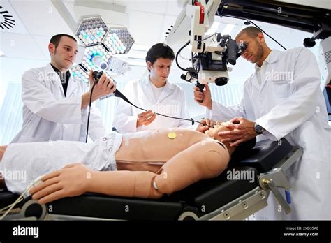 Integrated Operating Room Bronchoscopy Simulation Examination Of The Airways Health And