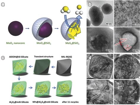 a a schematic illustration for mos2 sio2 rattle type structure formed