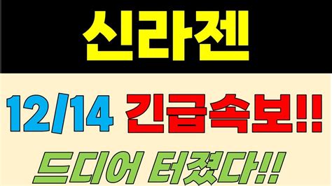 신라젠 주가전망 1214 긴급속보 드디어 터졌다 Youtube
