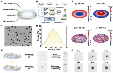 Integrated Ultrasound‐enrichment And Machine Learning In Colorimetric Lateral Flow Assay For